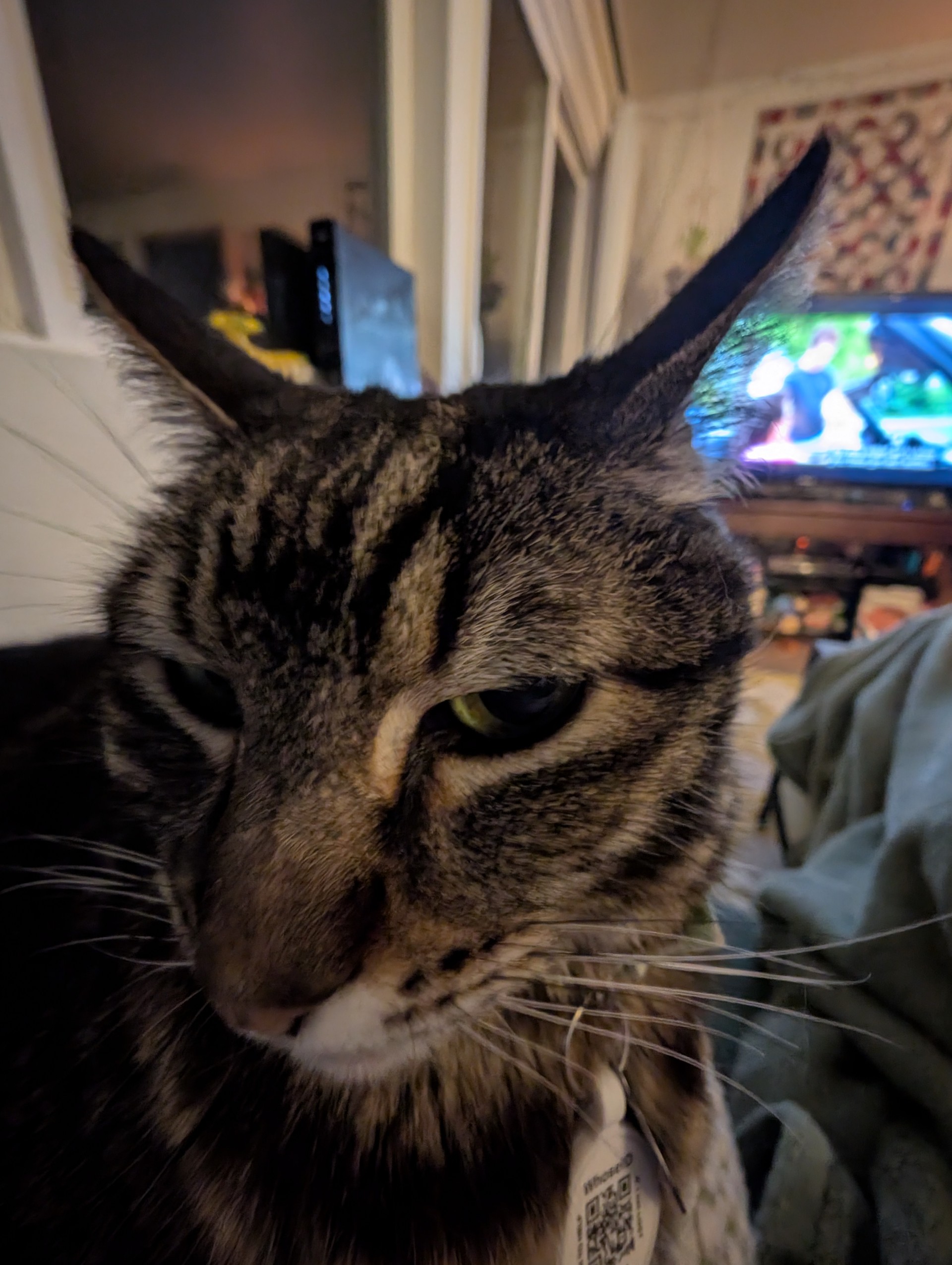 Rory Roberts Portfolio