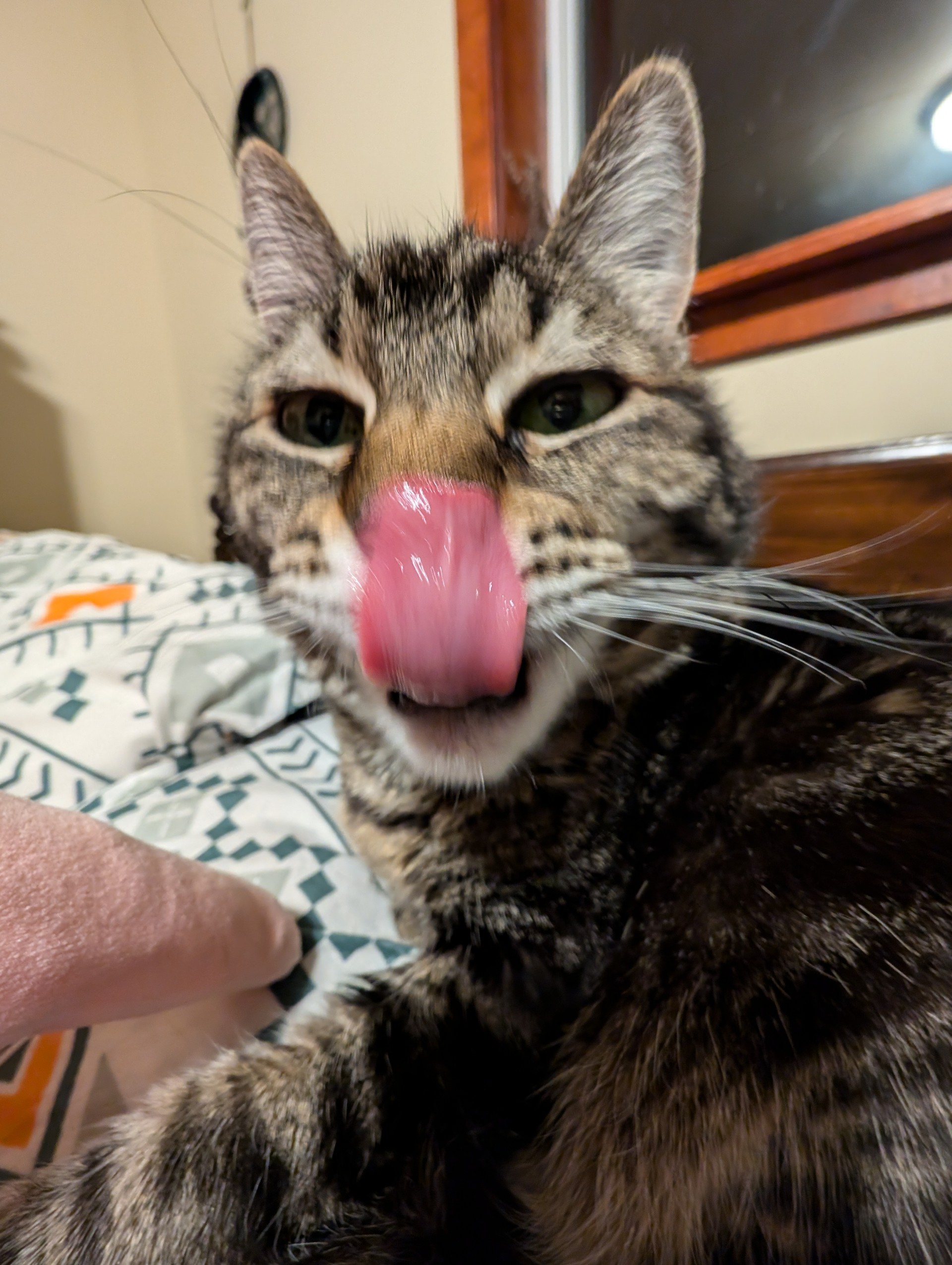 Rory Roberts Portfolio